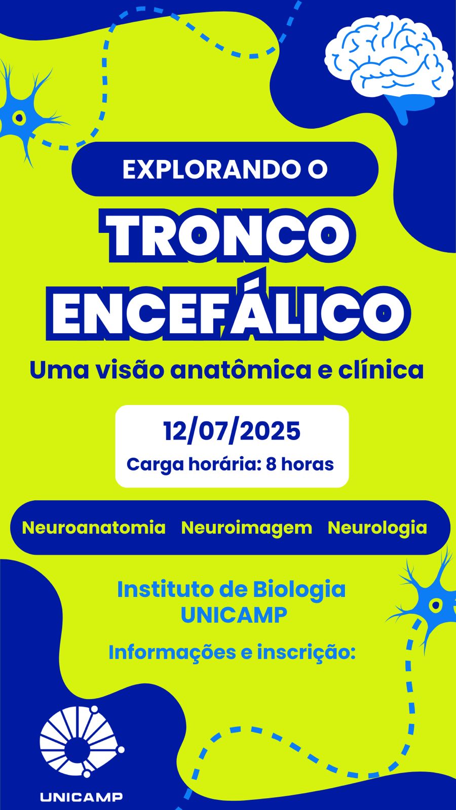 Explorando o tronco encefálico: uma visão anatômica e clínica - Faculdade de Ciências Médicas - FCM